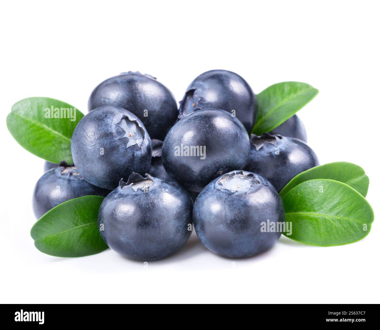Fresh blueberries bunch leaves Cut Out Stock Images & Pictures - Alamy