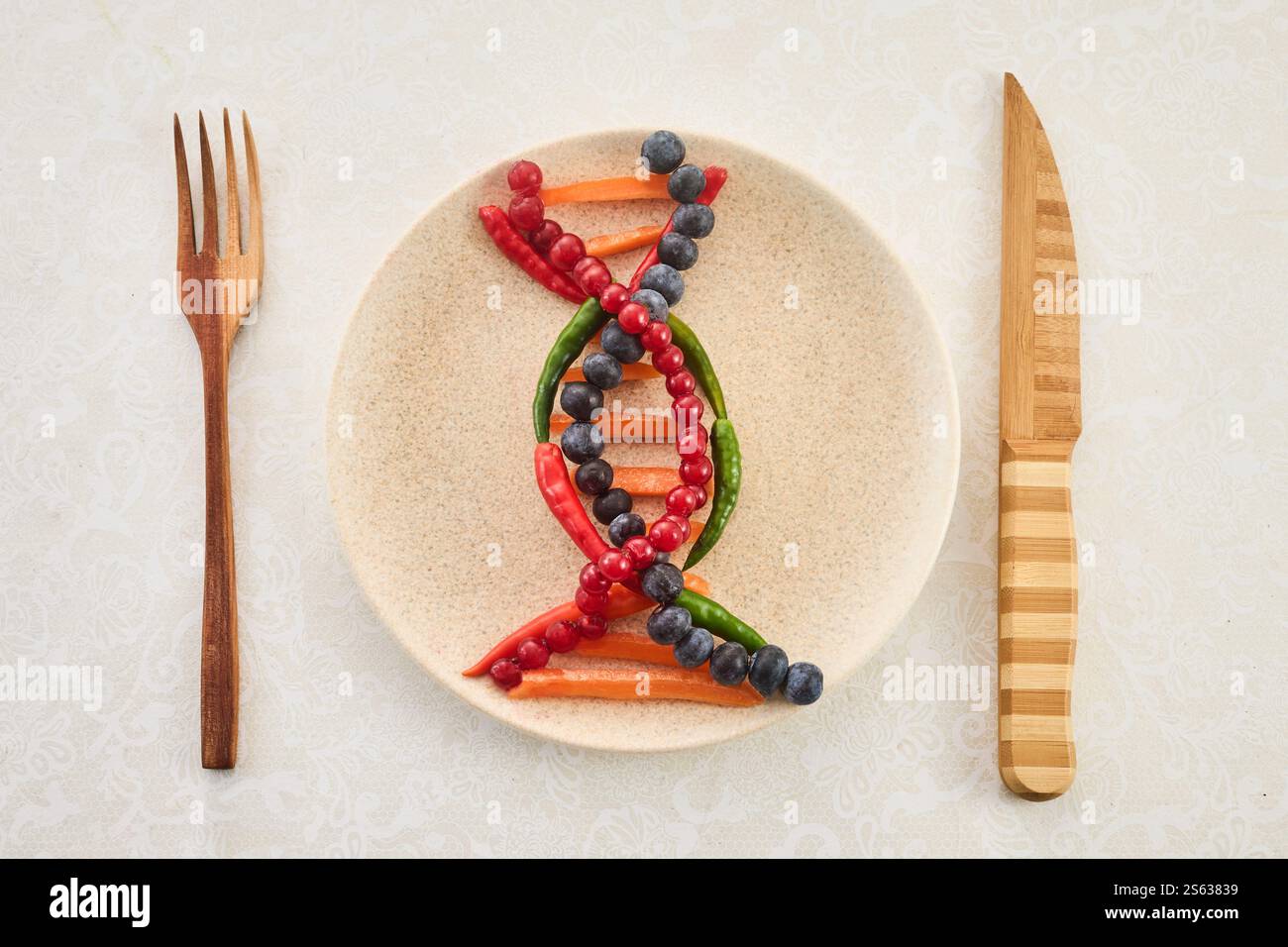 DNA food and genetically modified foods, DNA helix structure on plate ...