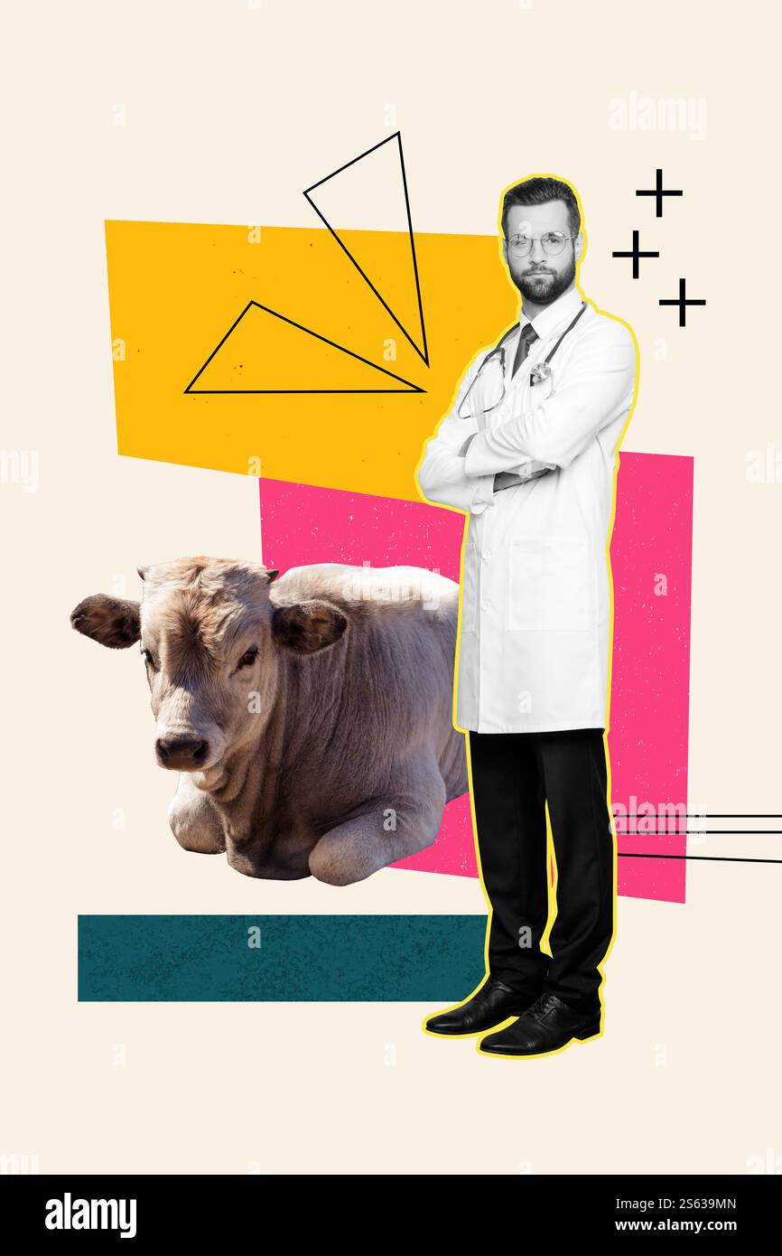 Vertical art creative trend collage of serious doctor man stand cow ...
