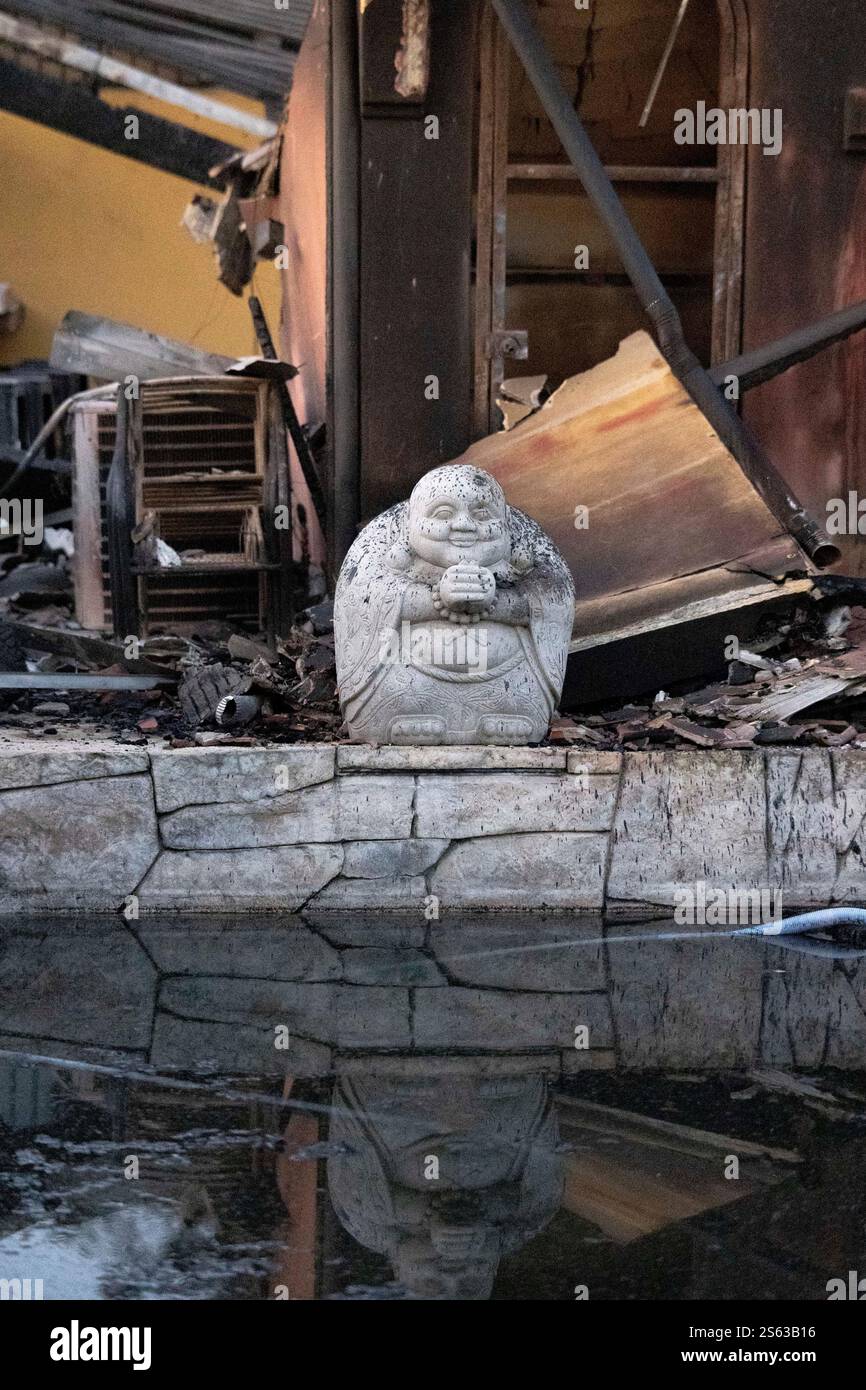 Altadena, California, USA. 11th Jan, 2025. A Buddha statue stands in ...