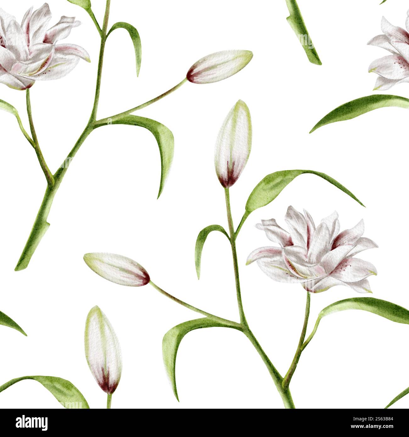 Lily flowers on a branch. Seamless pattern. Botanical flowers of lilies ...