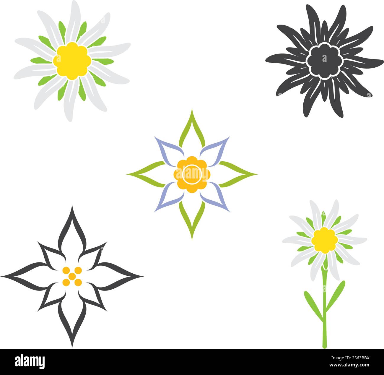 Edelweiss logo illustration vector design Stock Vector Image & Art - Alamy