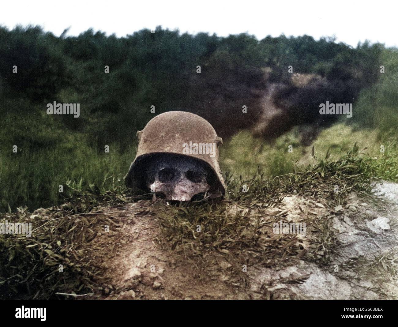 Human skull inside German military helmet Stock Photo - Alamy