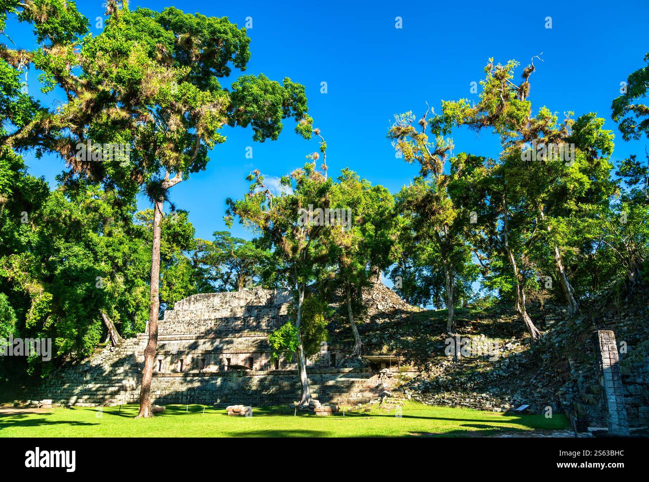 Temple 11 at West Court of Acropolis of Maya Archaeological Site of ...