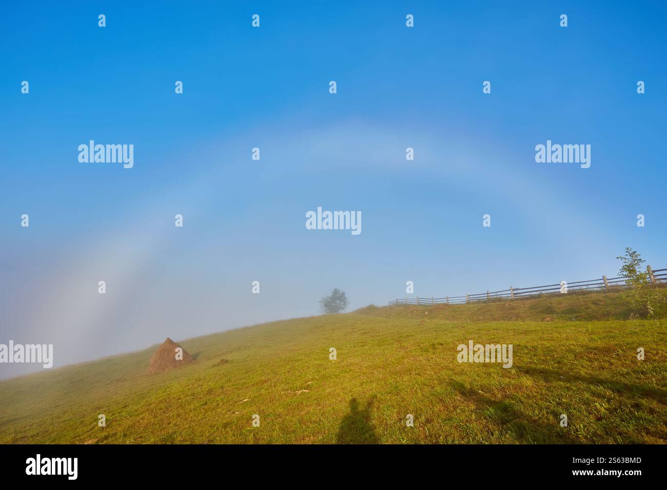 Rare-white rainbow. You can see when specific lighting in the morning ...