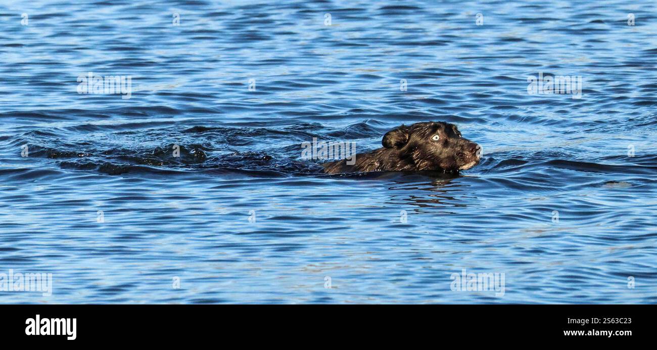 South lake craigavon lake 2025 hi-res stock photography and images - Alamy