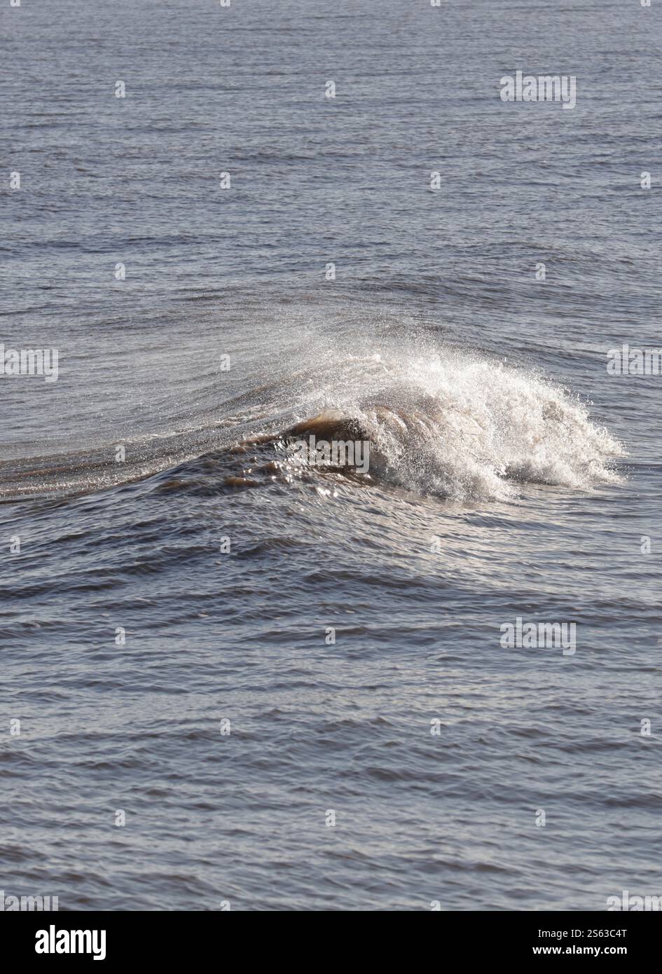 Crest of a wave hi-res stock photography and images - Alamy