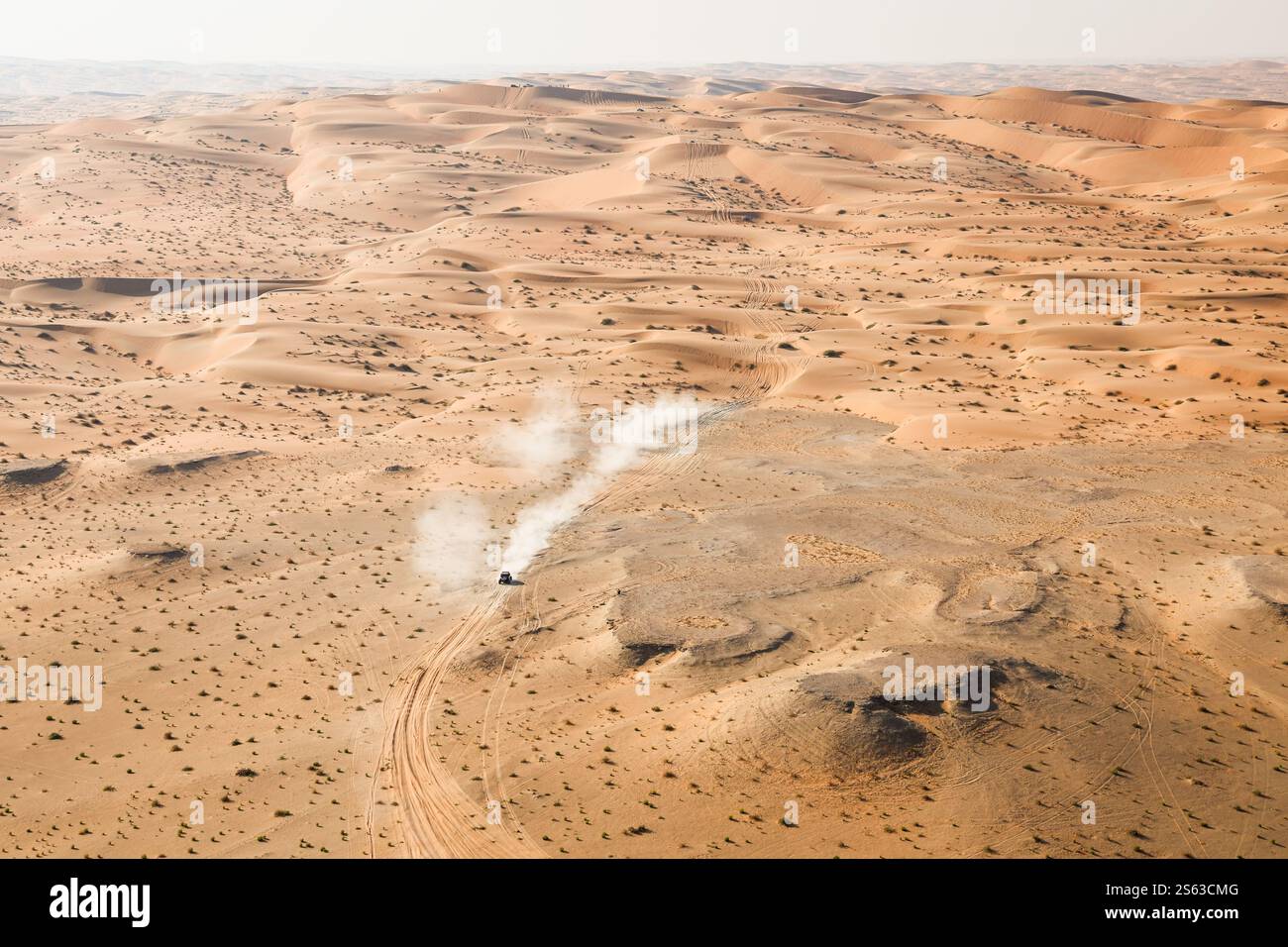 Challenger T3, action during the Stage 10 of the Dakar 2025 on January ...