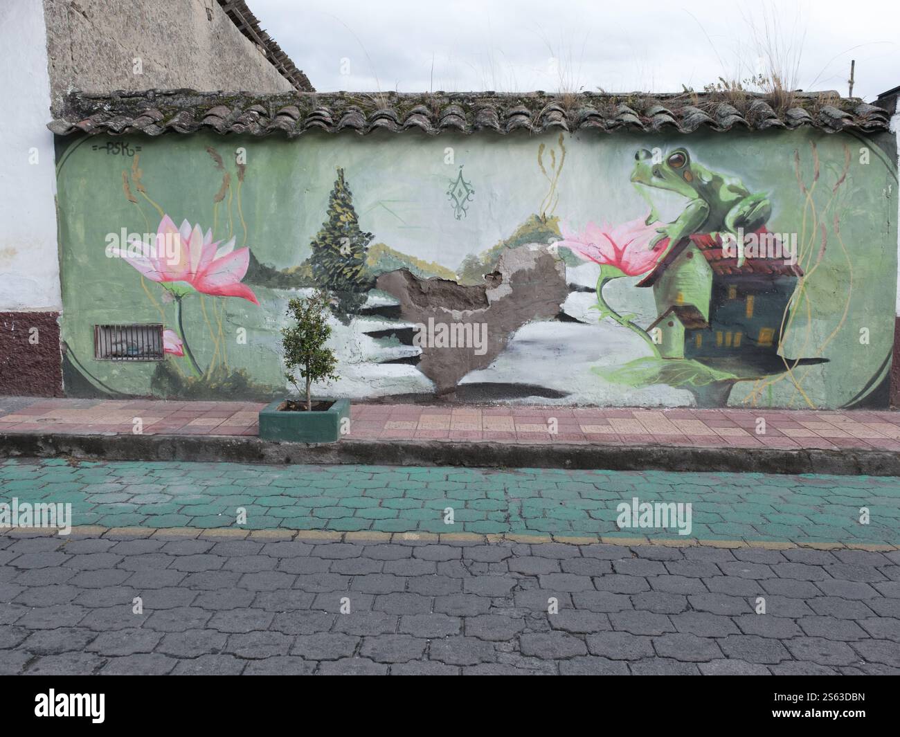 Ecuador Street Art Murals Stock Photo - Alamy