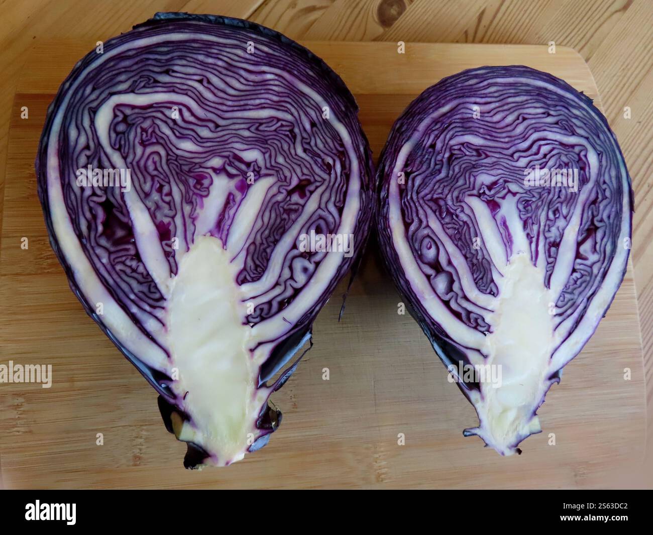 ...Blatt legt sich anschmiegsam um das naechste Blatt,wodurch dieses ...