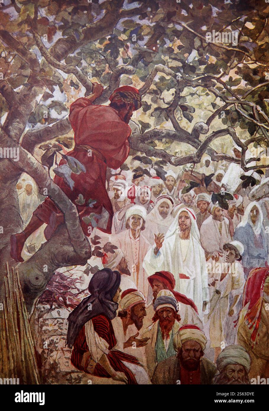 Zacchaeus bible art hi-res stock photography and images - Alamy