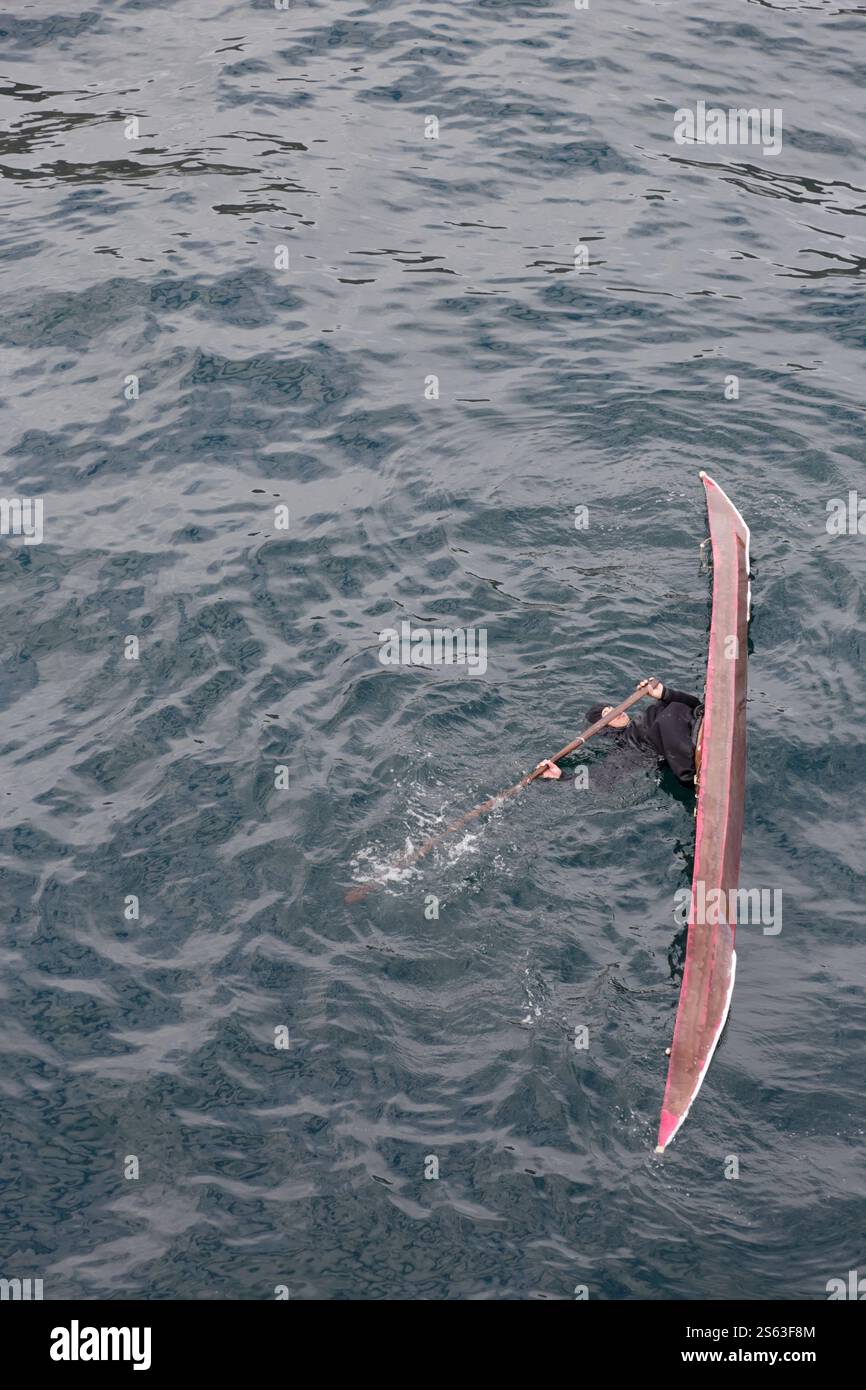An Inuit man showing his Kayaking skills on a animal skin covered ...
