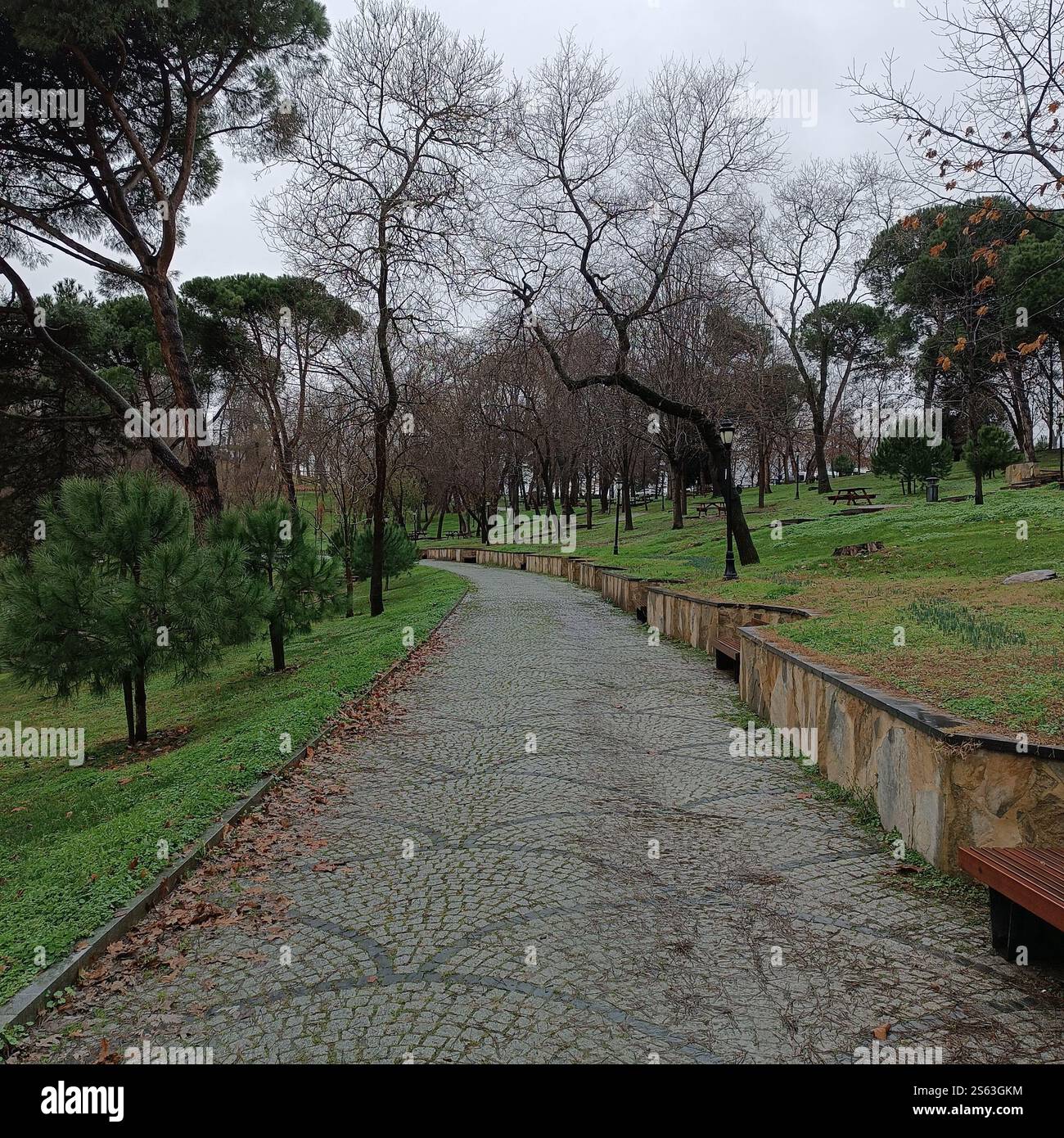 istanbul landscapes, nature and city photos, istanbul city photos Stock ...