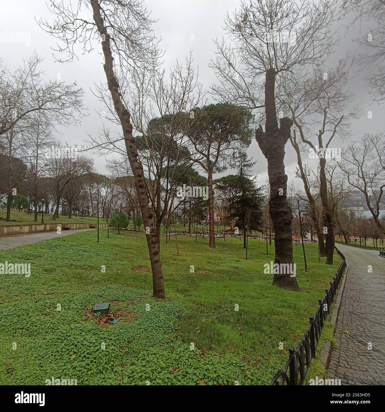 istanbul landscapes, nature and city photos, istanbul city photos Stock ...