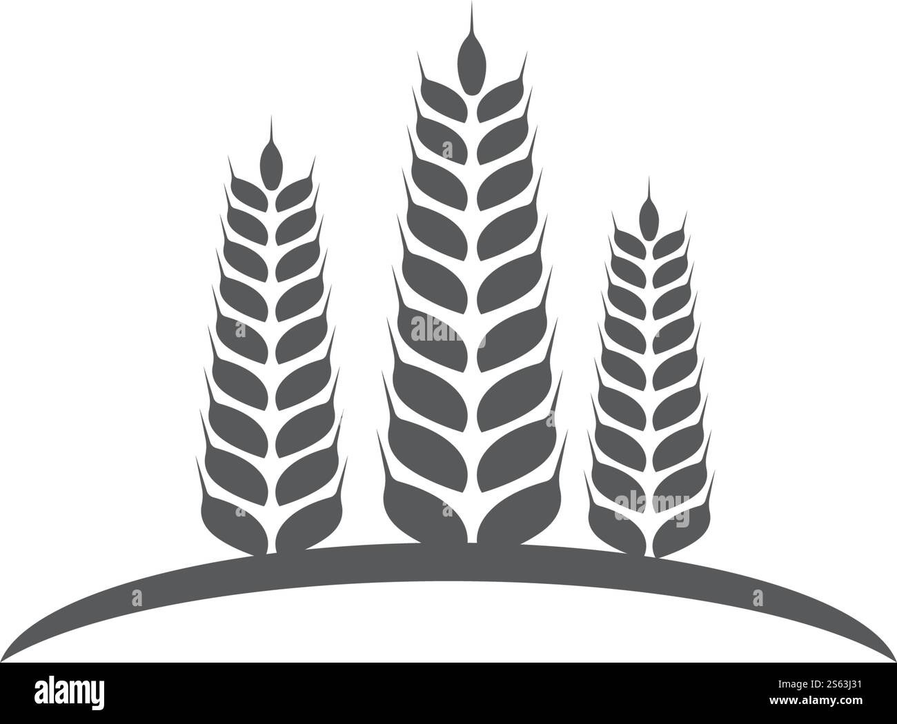 Grain design Black and White Stock Photos & Images - Alamy