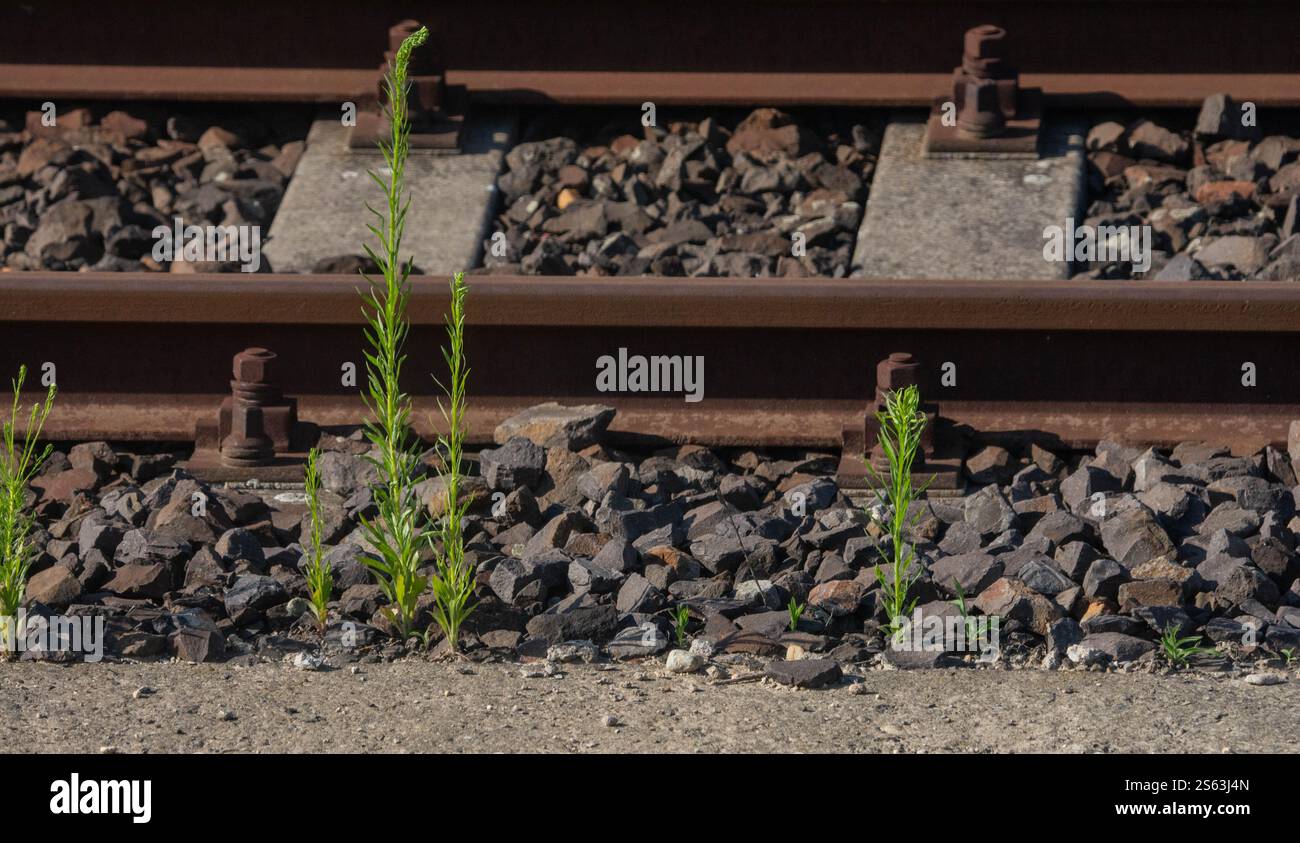 Closeup of railway tracks. railway rails close view - abstract ...