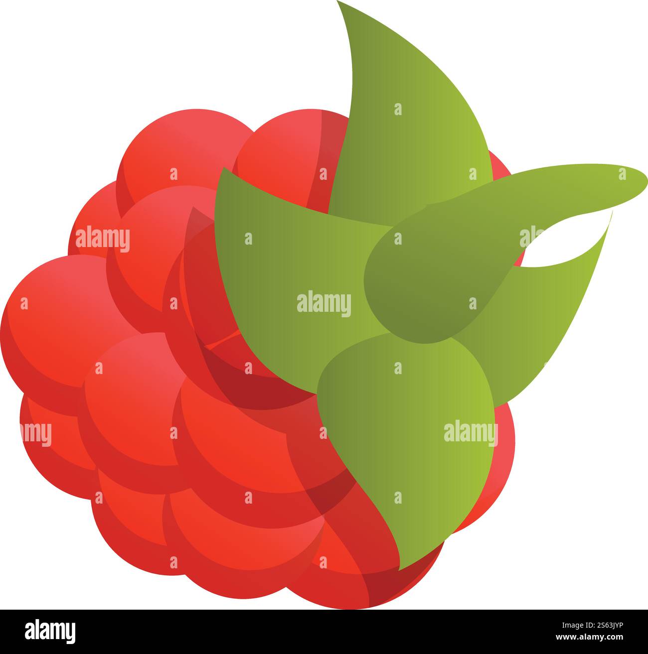 Raspberry icon. Cartoon of raspberry vector icon for web design ...