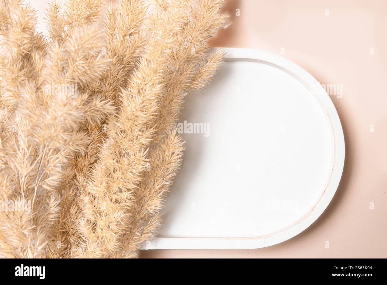 White empty oval platform podium and dry reed grass on light beige ...