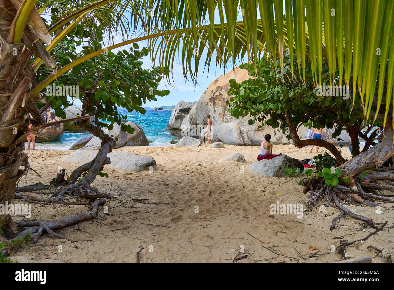 The Baths, Virgin Gorda, Caribbean - December 31, 2024: Palm trees on ...