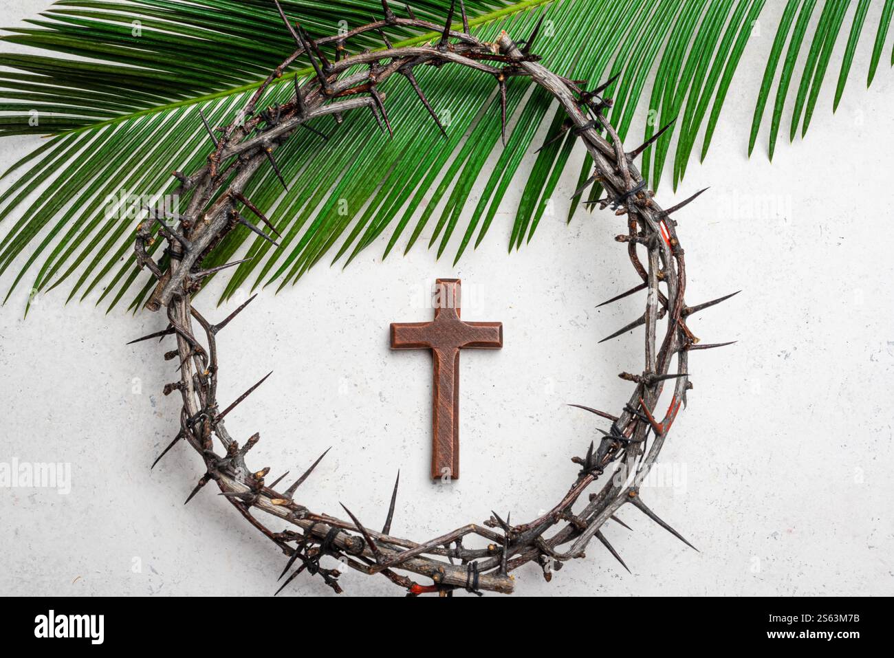 Palm Sunday, Holy Week or Easter concept template. Crown of thorns ...