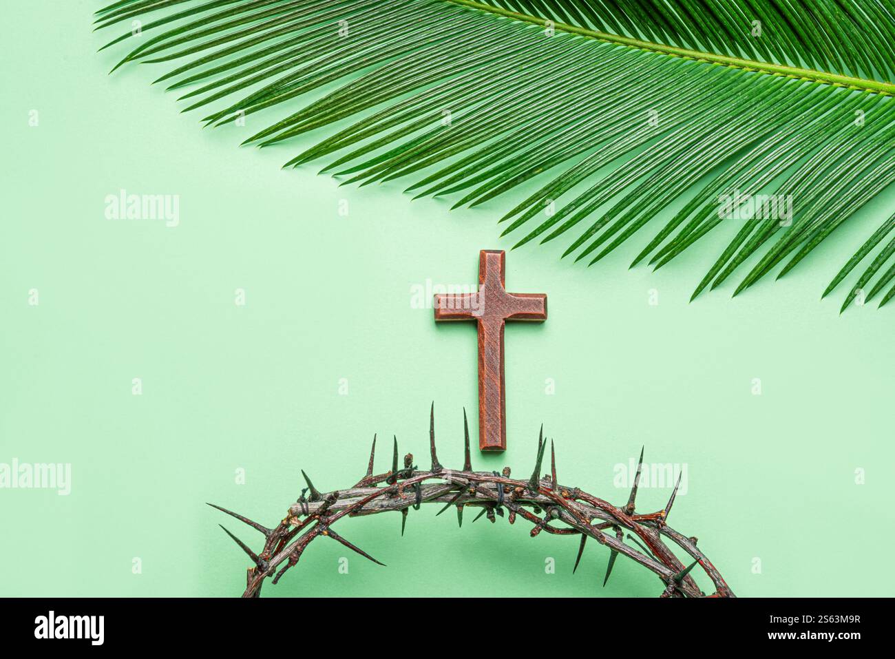 Palm Sunday, Holy Week or Easter concept template. Crown of thorns ...