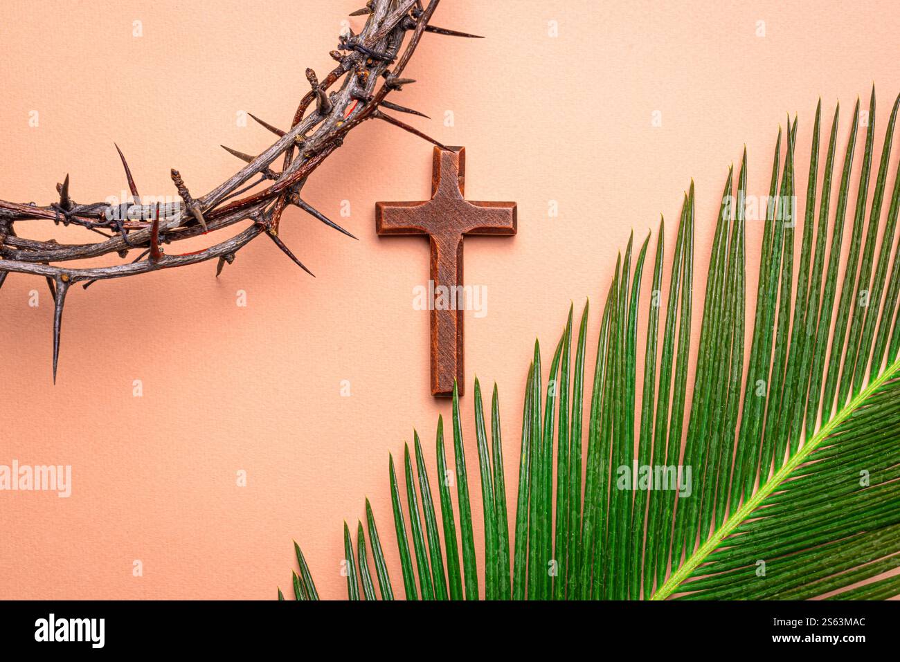 Palm Sunday, Holy Week or Easter template. Crown of thorns, wooden ...