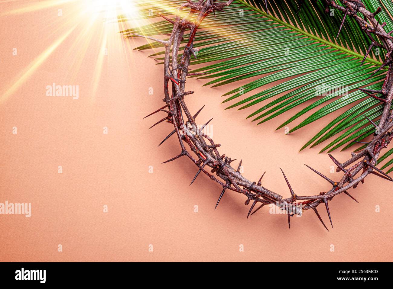 Crown of thorns and palm leaves on pink orange background, top view ...