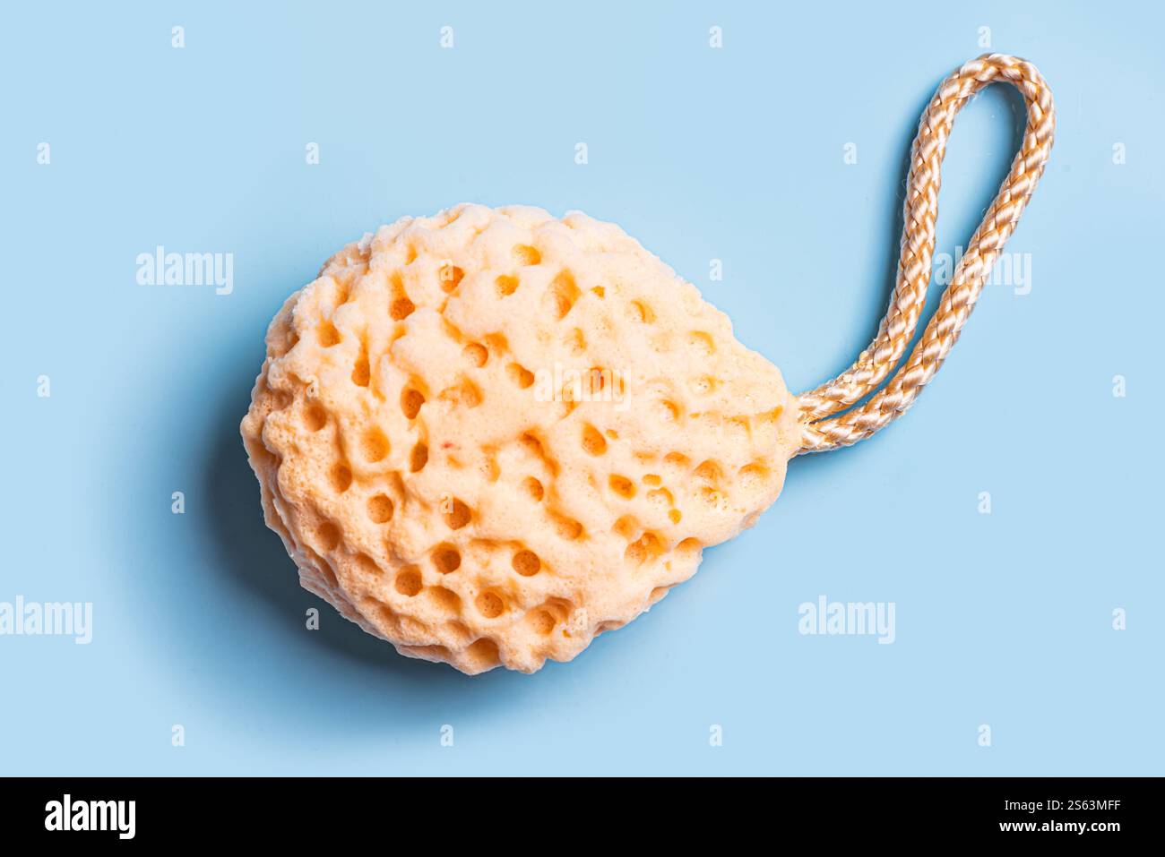 hydrophilic body sponge on pastel blue background. gentle polyurethane ...