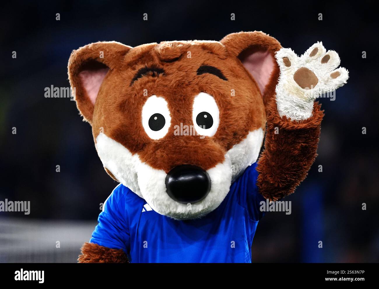 Leicester city mascot hi-res stock photography and images - Alamy