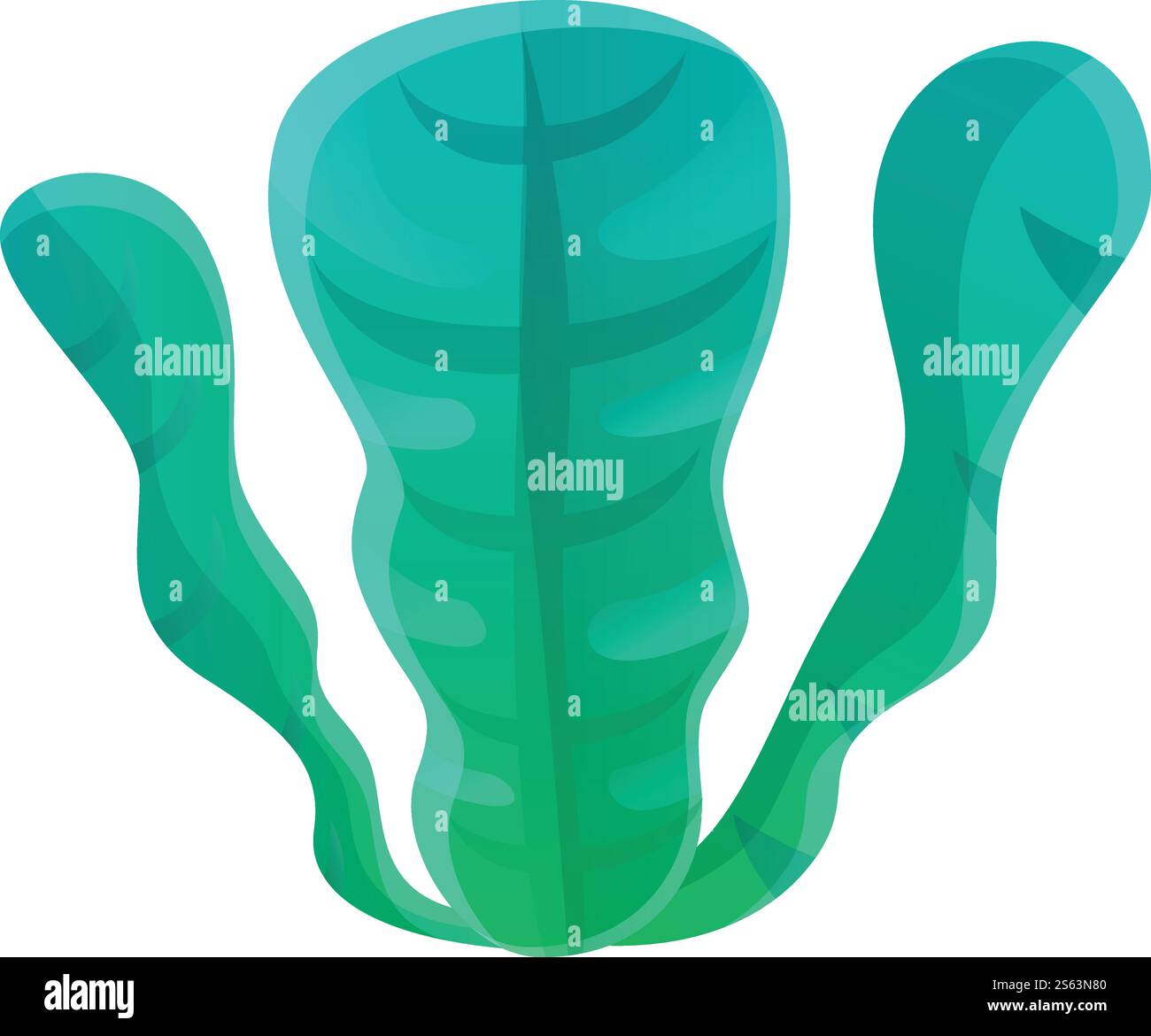 Algae leaf icon. Cartoon of algae leaf vector icon for web design ...