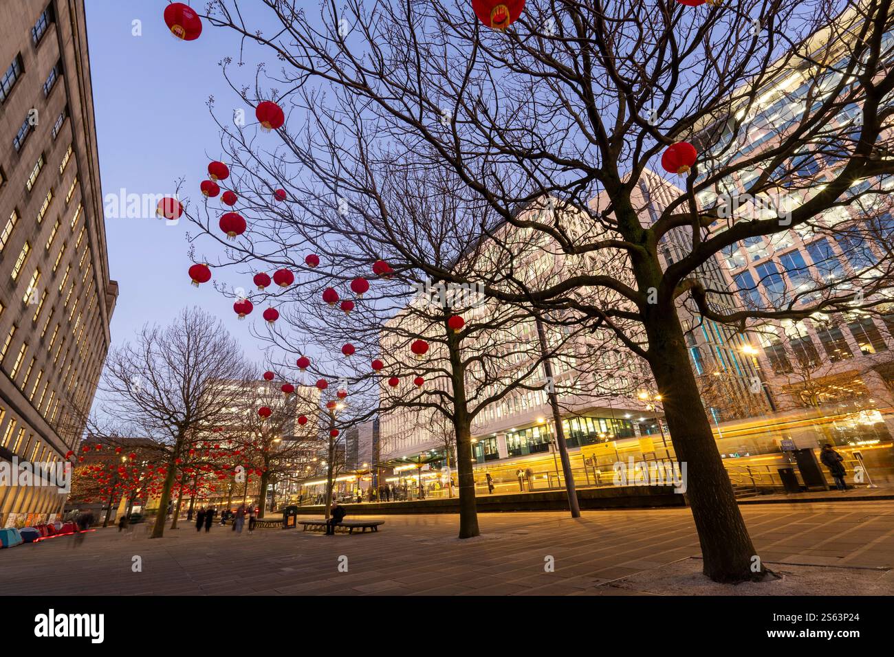 Image of St Peter's Square decorated with red lanterns for the Lunar ...