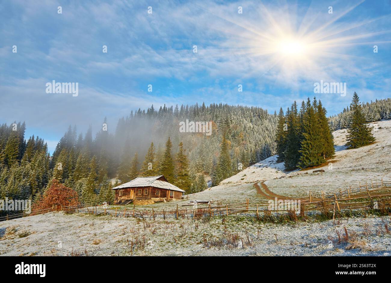 Wonderful autumn scenery with first frosts in the mountains Stock Photo ...