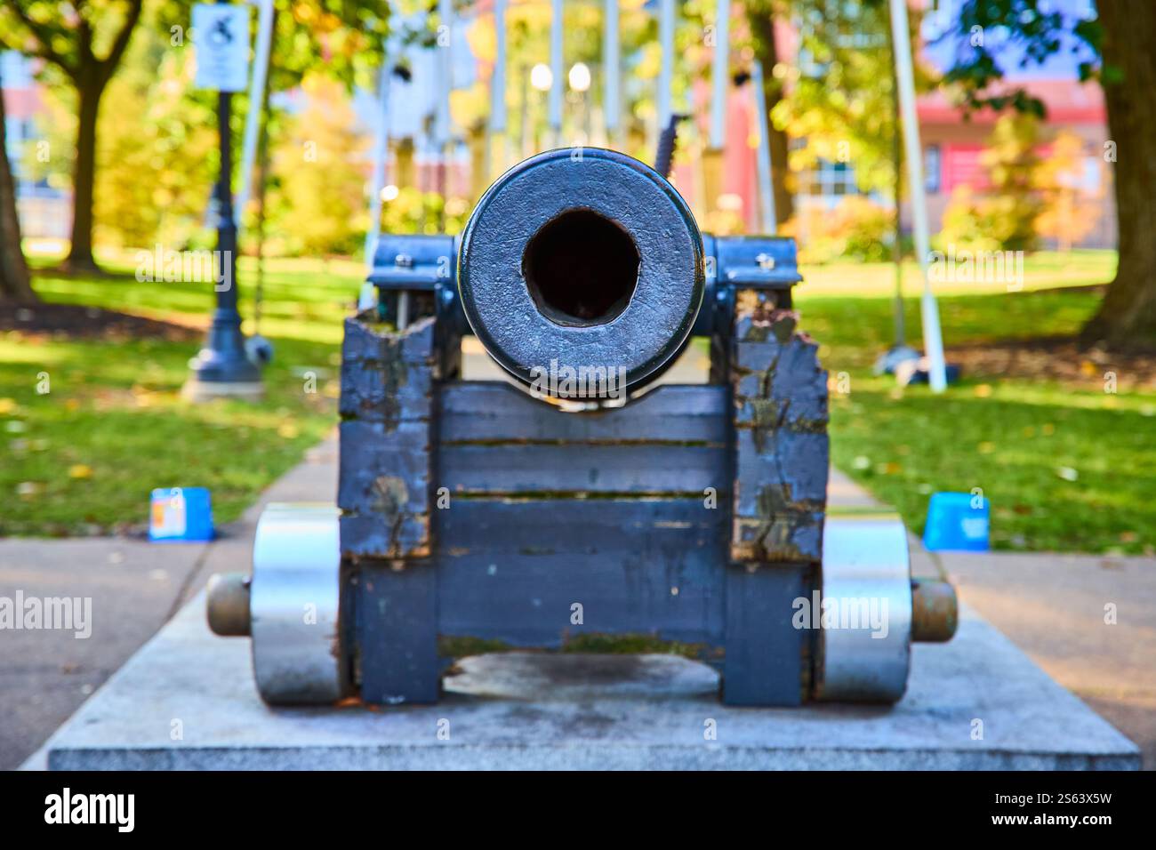 Historic Cannon in Lush Park Setting Eye Level Perspective Stock Photo ...
