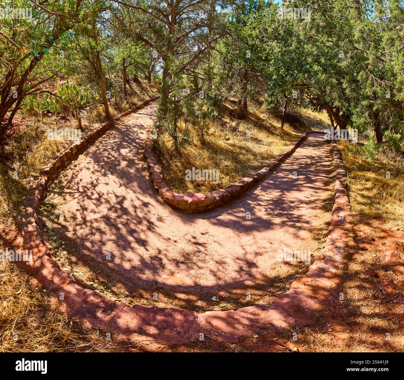 Zion National Park Woodland Path Sunlit Serenity Eye-Level Perspective ...