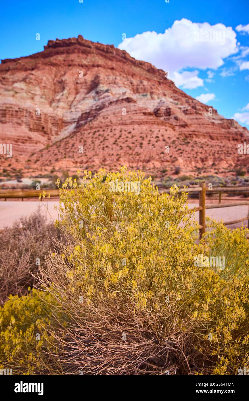 Gooseberry Mesa Desert Vista with Bush and Fence Eye-Level Perspective ...