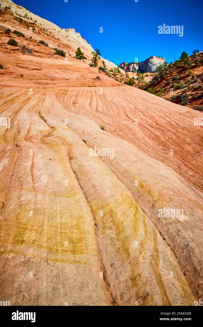 Sandstone Waves and Cliffs in Zion National Park Eye-Level Perspective ...