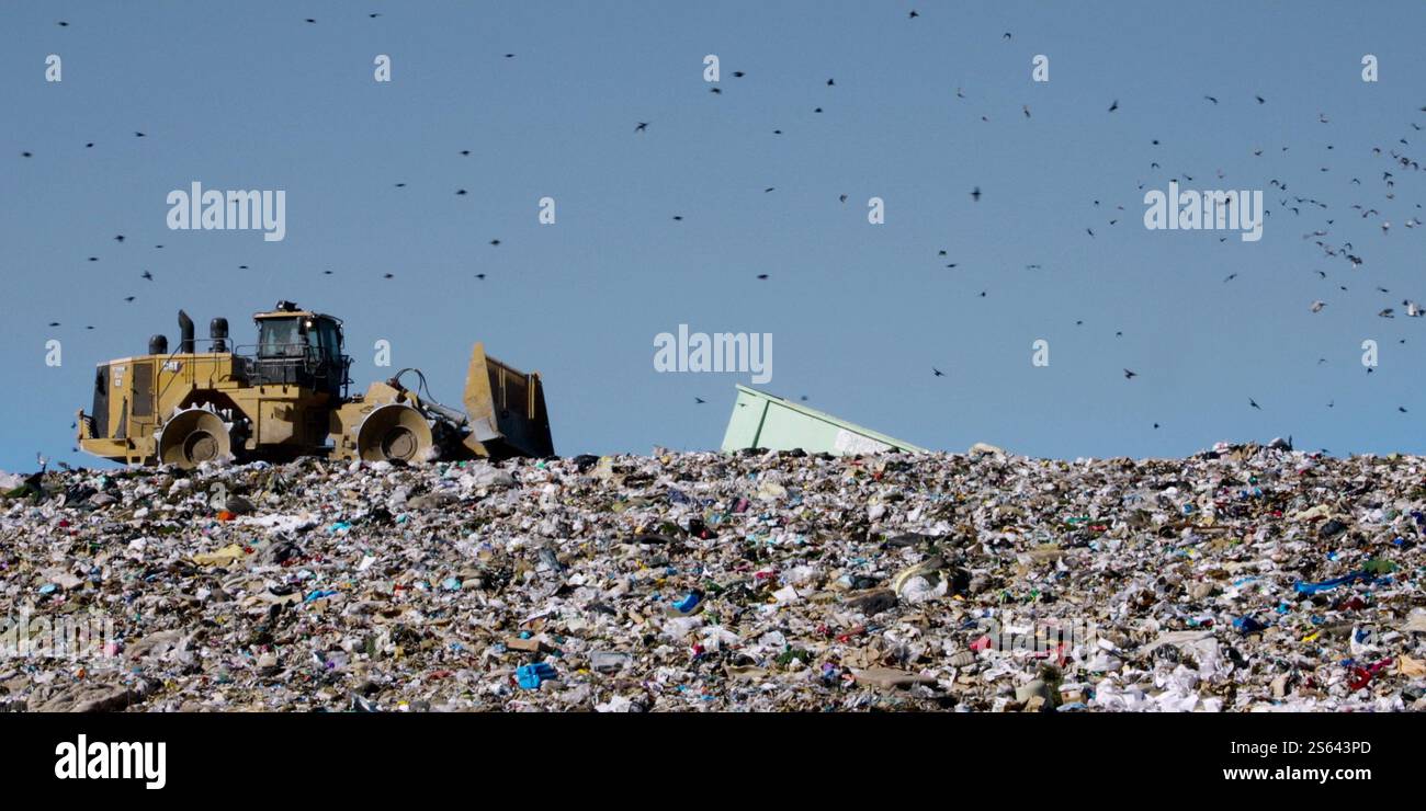BUY NOW! THE SHOPPING CONSPIRACY, garbage dump, 2024. © Netflix ...