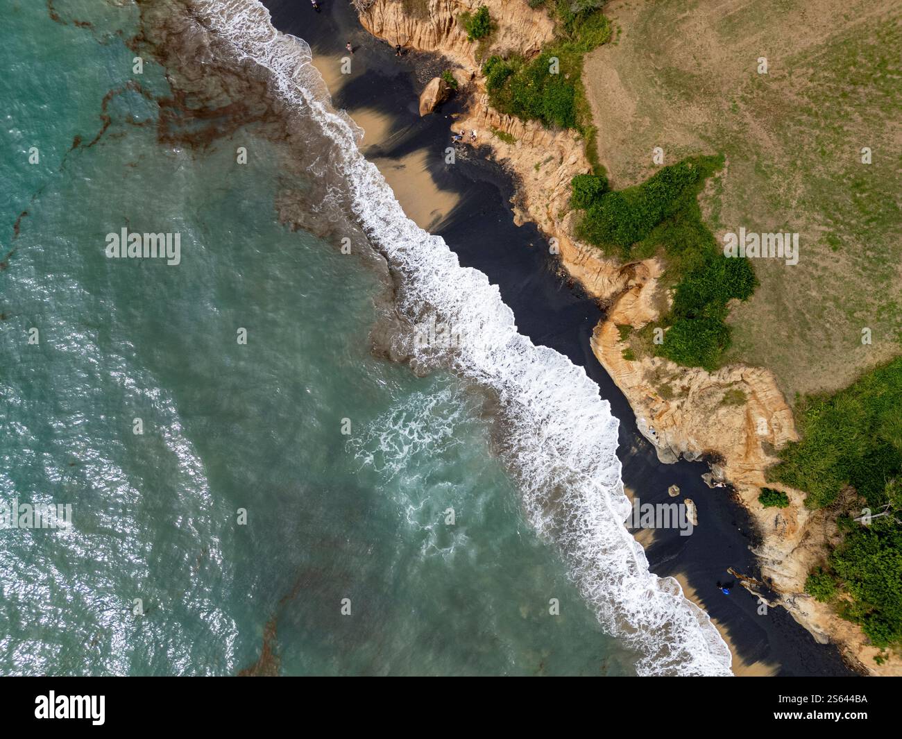 Playa Negra (Negrita) aka Black Sand Beach in Vieques, Puerto Rico ...