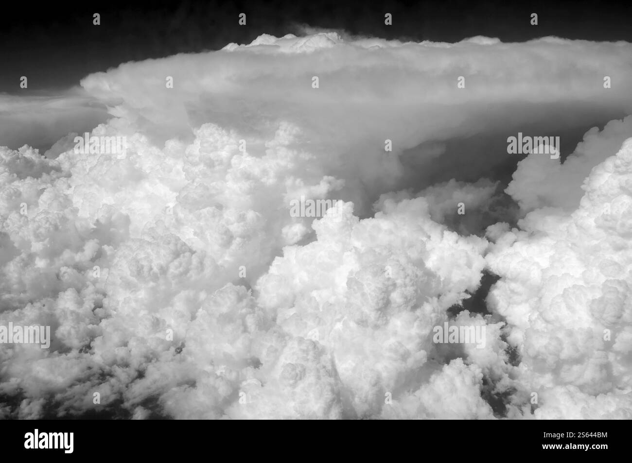 The sky is filled with a thick layer of white clouds, and they are low ...