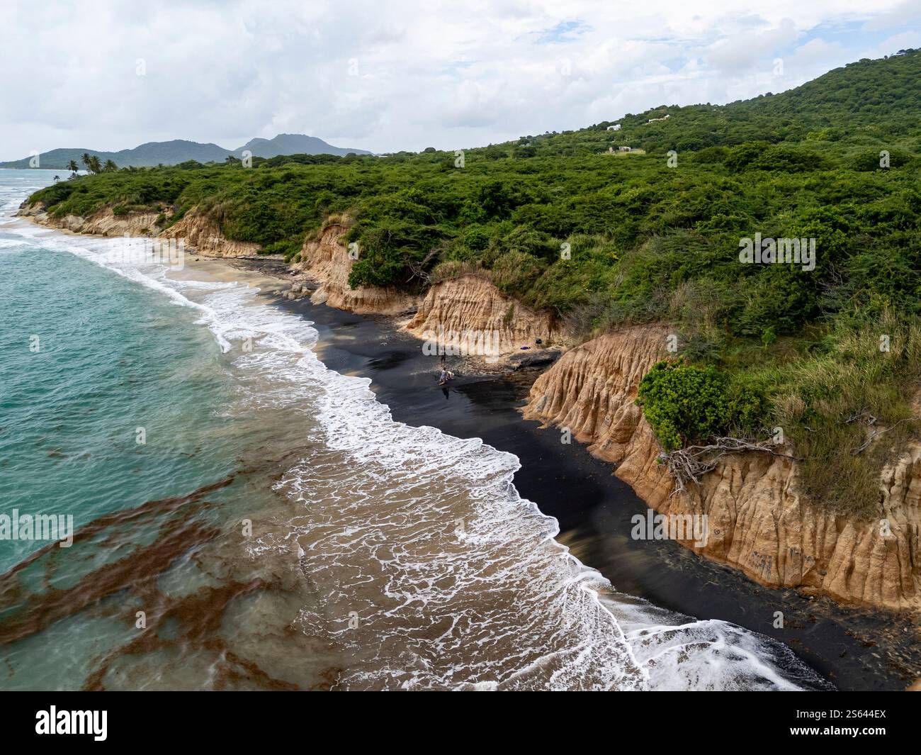 Playa Negra (Negrita) aka Black Sand Beach in Vieques, Puerto Rico ...
