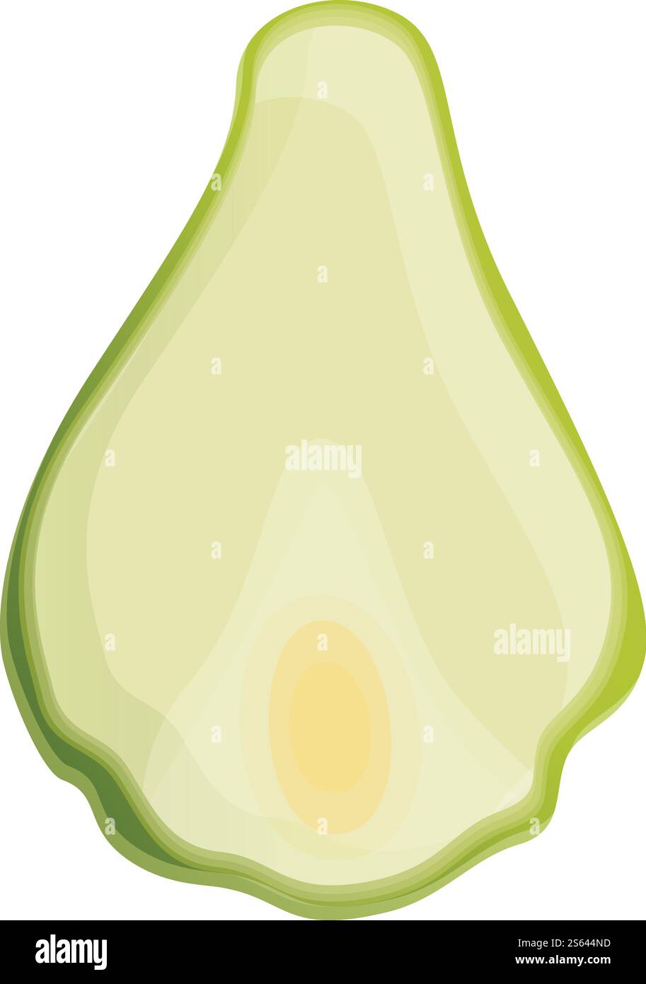 Cutted chayote icon. Cartoon of cutted chayote vector icon for web ...