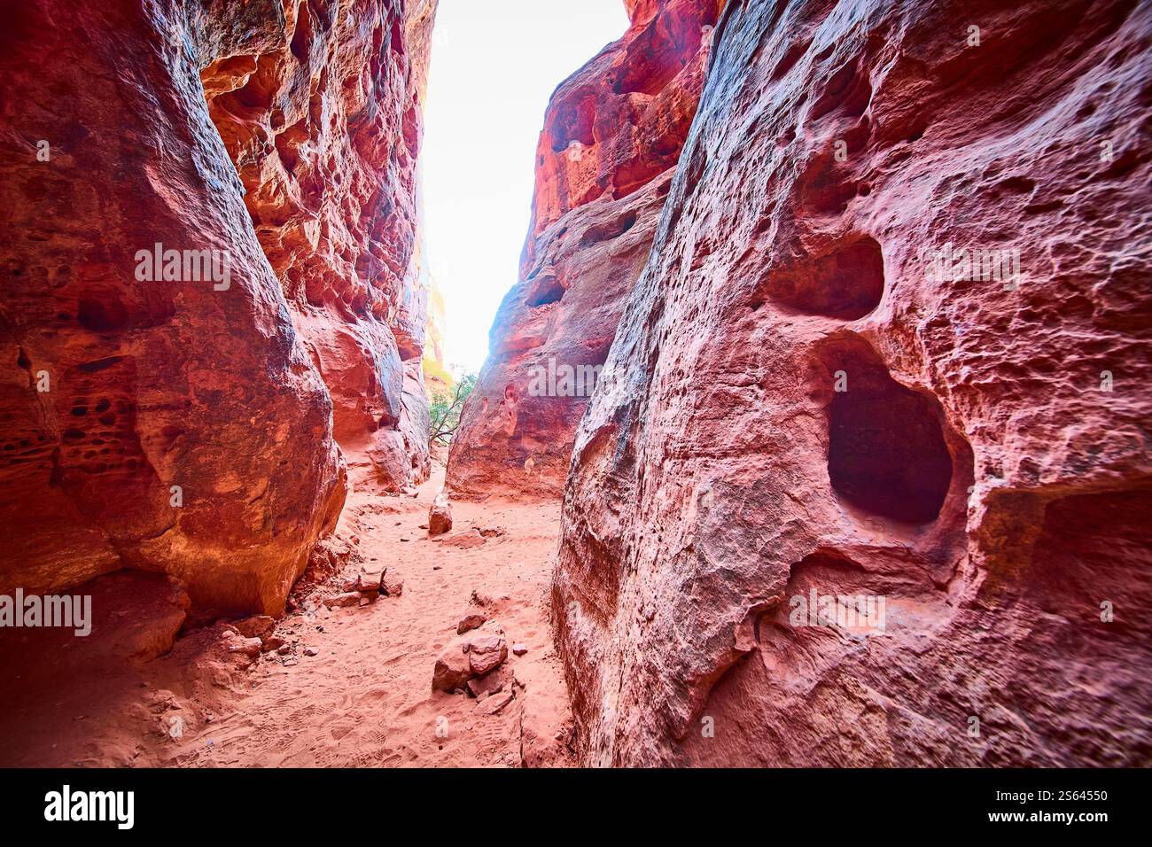 Red Rock Canyon Pathway at Midday Eye-Level Perspective Stock Photo - Alamy