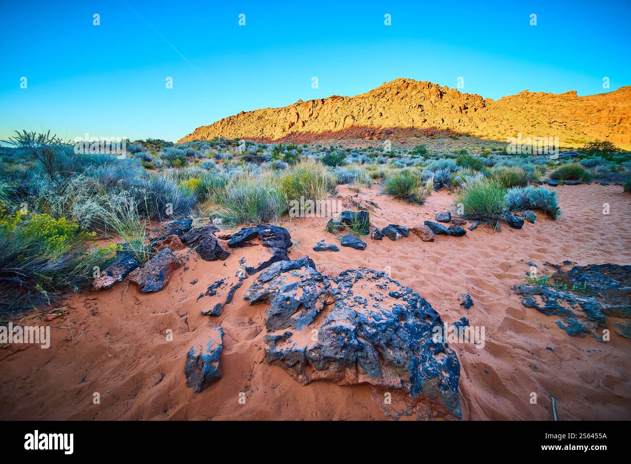 Desert Landscape with Rugged Hills and Rocks Low Perspective Stock ...