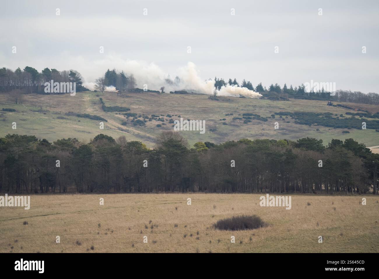white smoke rising in a winter sky from burning farm manure Stock Photo ...