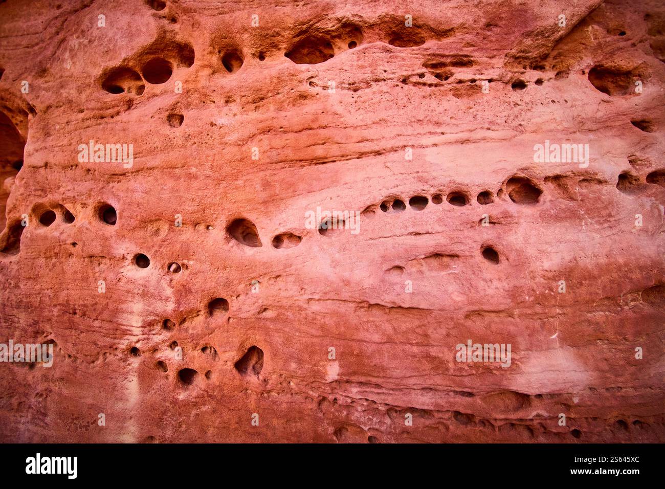 Red Sandstone Texture with Erosion Patterns Close-Up in Snow Canyon ...