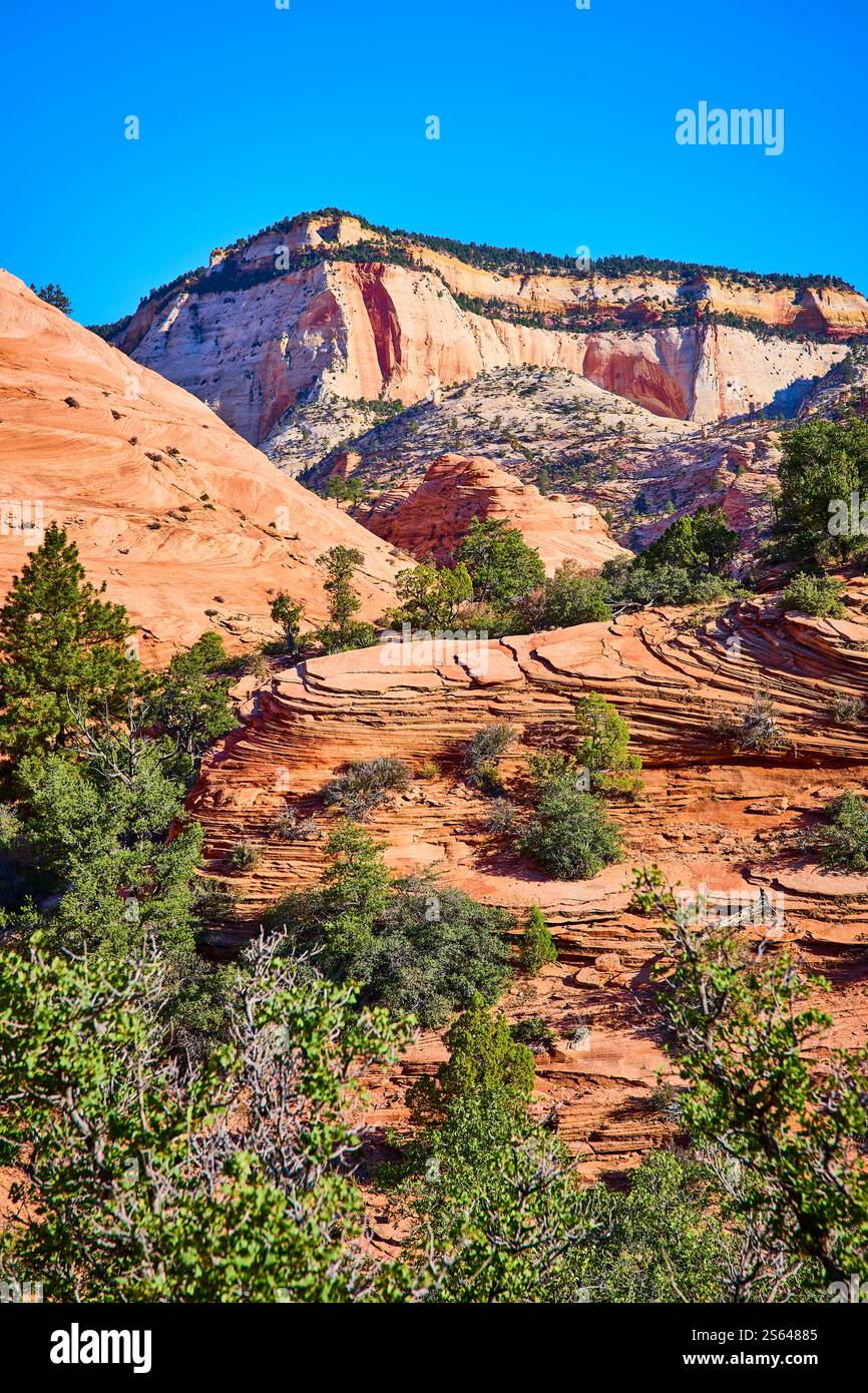 Zion Sandstone Cliffs and Greenery Eye-Level Perspective Stock Photo ...