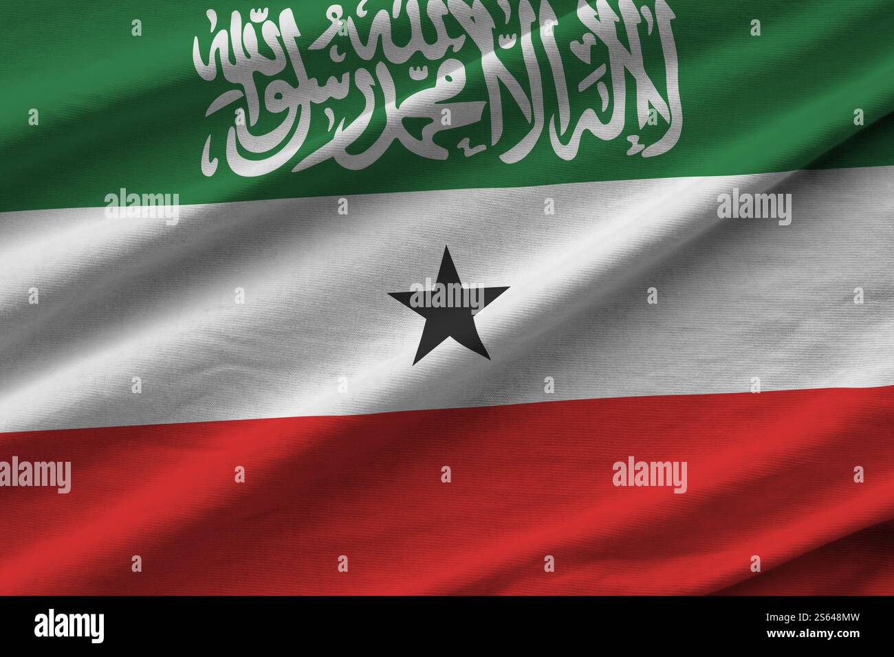 Somaliland flag with big folds waving close up under the studio light ...