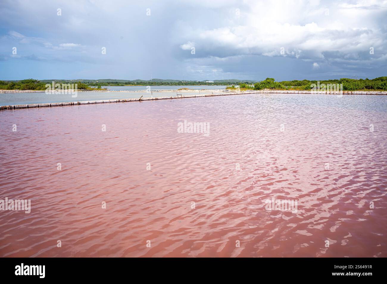 Salt Flats, Cabo Rojo, Puerto Rico Stock Photo - Alamy