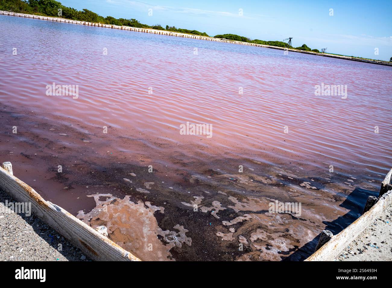 Salt Flats, Cabo Rojo, Puerto Rico Stock Photo - Alamy