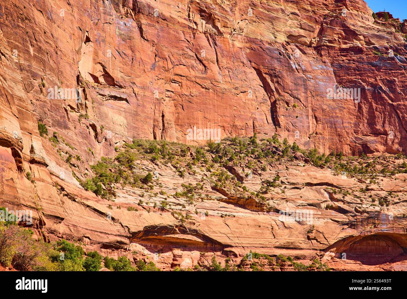 Towering canyons hi-res stock photography and images - Alamy